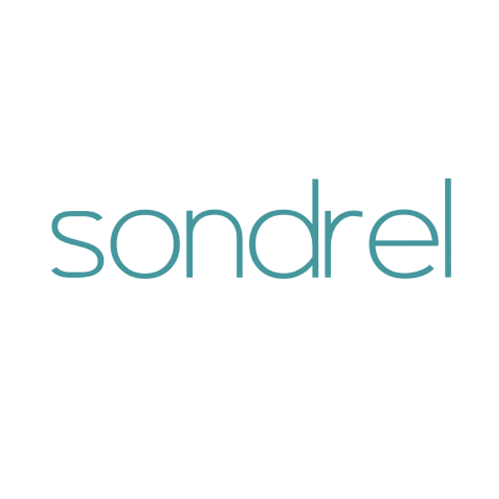 Sondrel (Holdings) - Board Change - Vox Markets