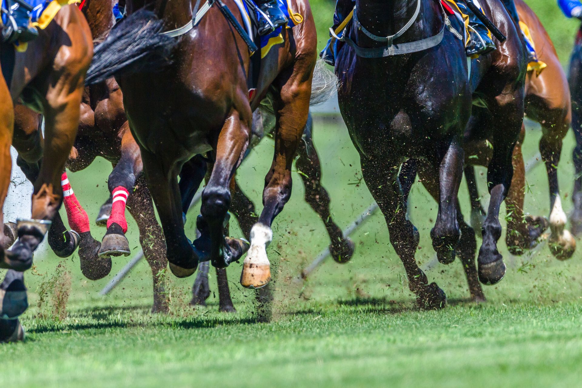 Entain appoints Eminence Capital founder Ricky Sandler to board - Vox ...