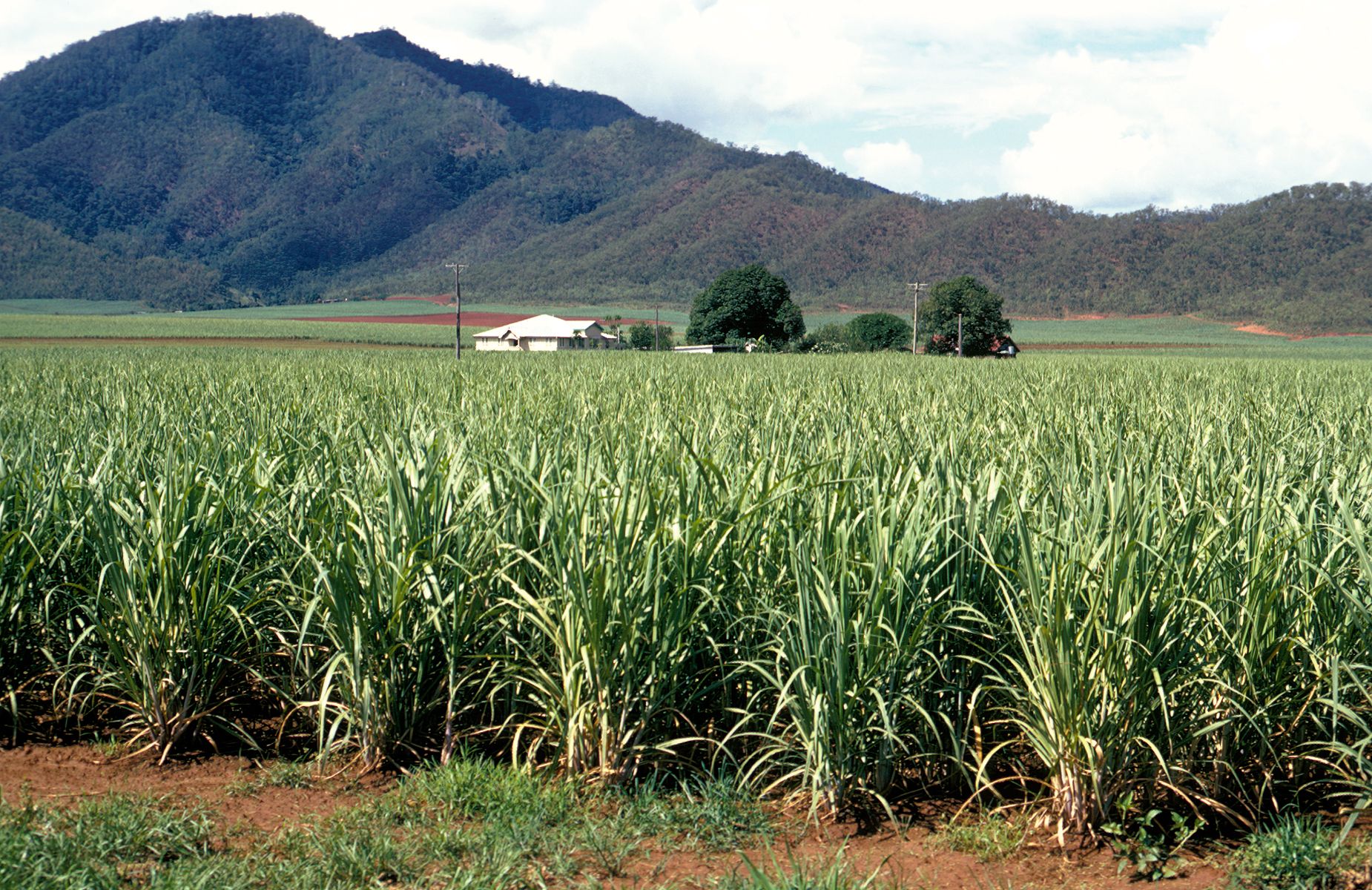 AB Sugar's Head Of Innovation Hired By AIM-Listed Frontier IP - Vox Markets