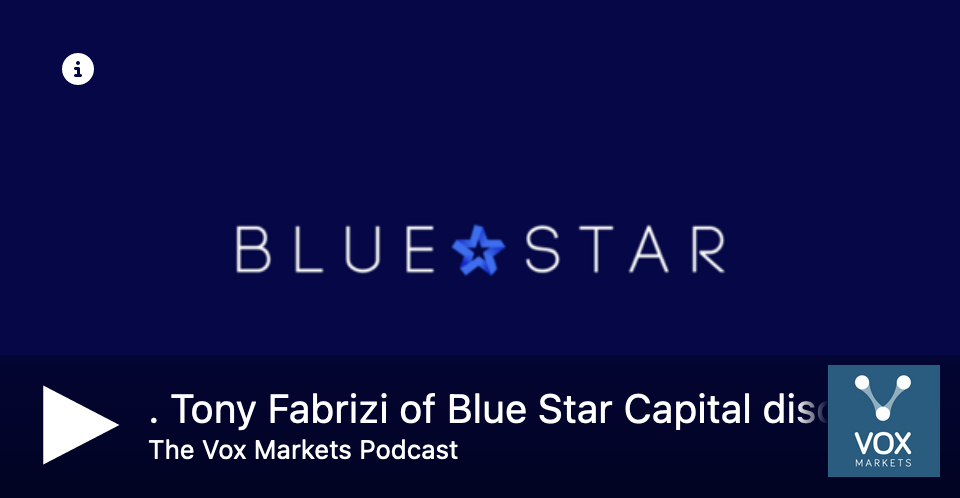 Tony Fabrizi of Blue Star Capital discusses portfolio progress ...