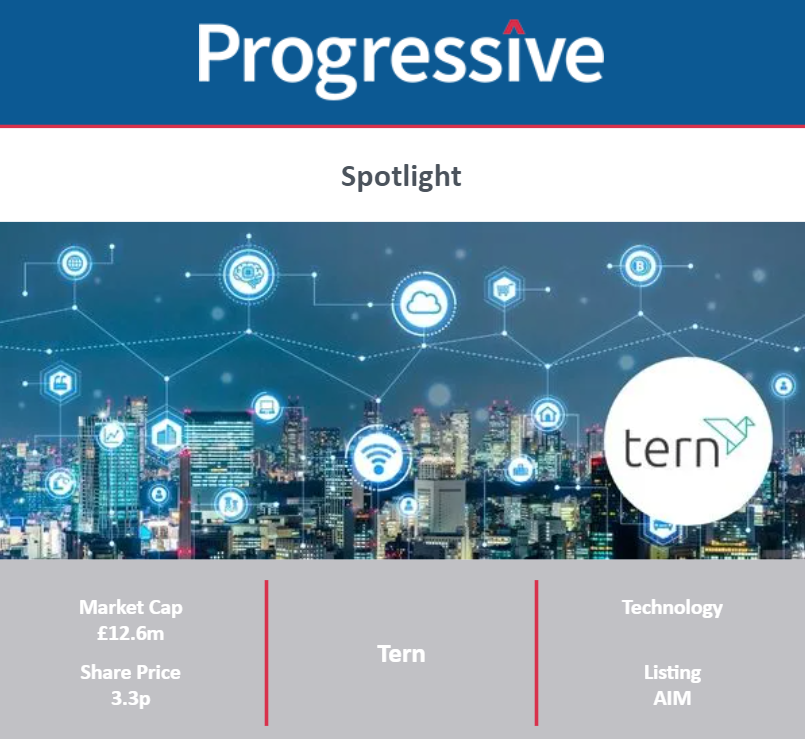 Tern: Progressive Research - Vox Markets
